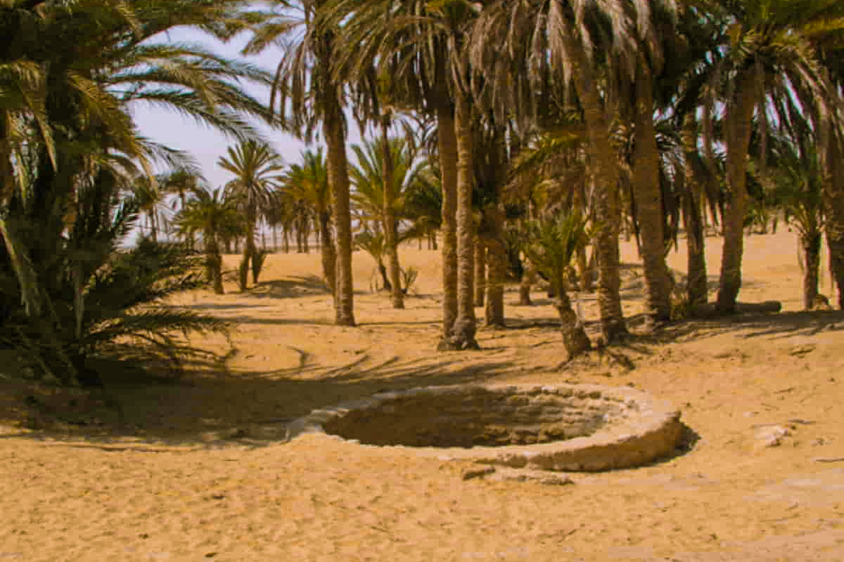 Red Sea And Sinai Attractions - Egypt Accessible Travel