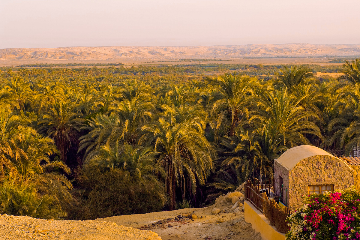 Dakhla Oasis - Egypt Accessible Travel